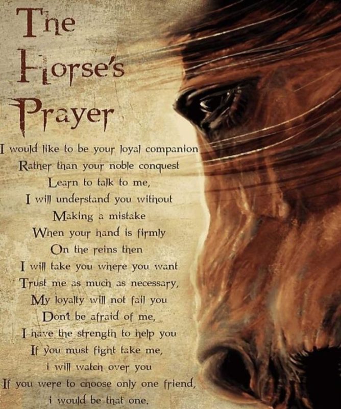The Horse's Prayer Horse Canvas - LuvinGift